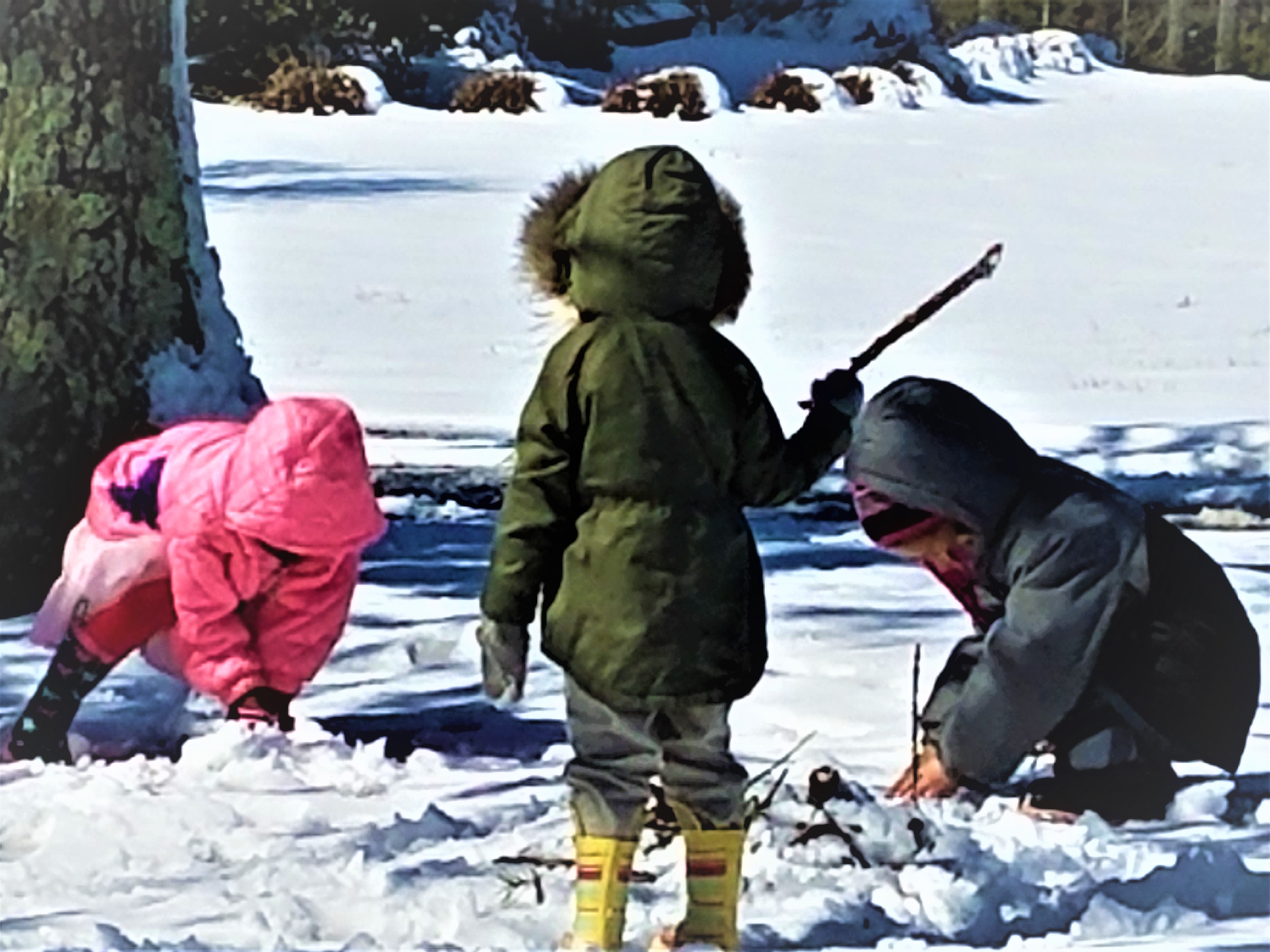 Gallery – WILDERNESS MONTESSORI